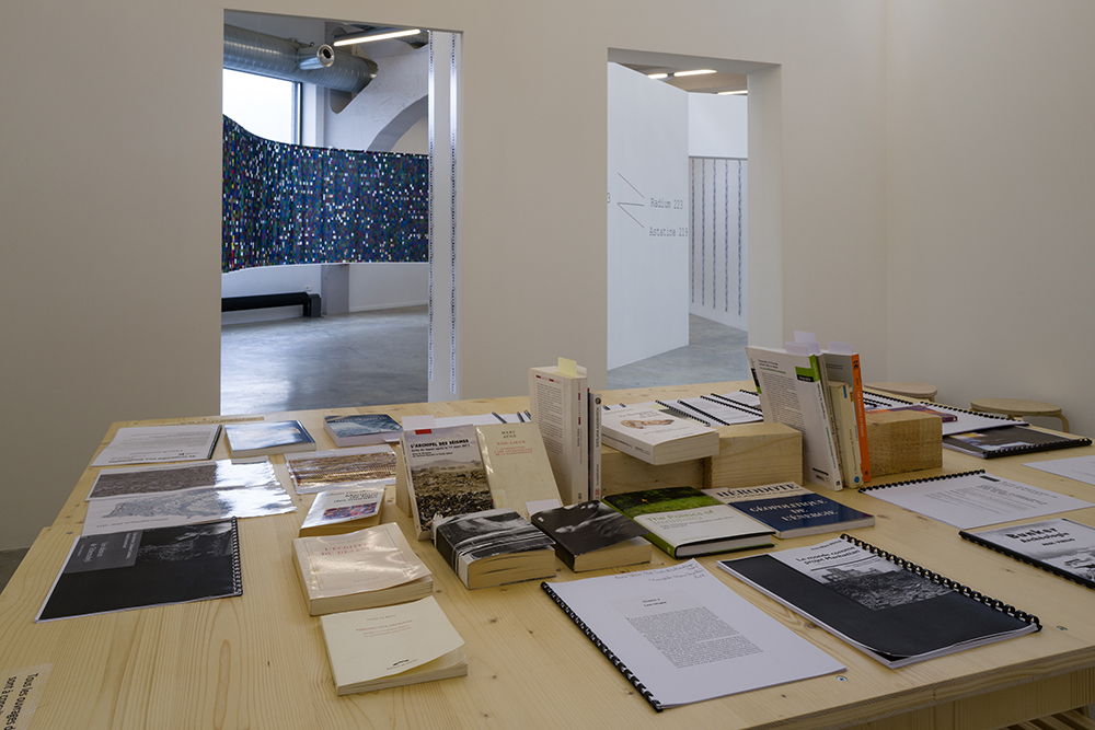 Vue dExposition Regionale20-espace de documentation -credit La Kunsthalle-photo Sebastien Bozon ...